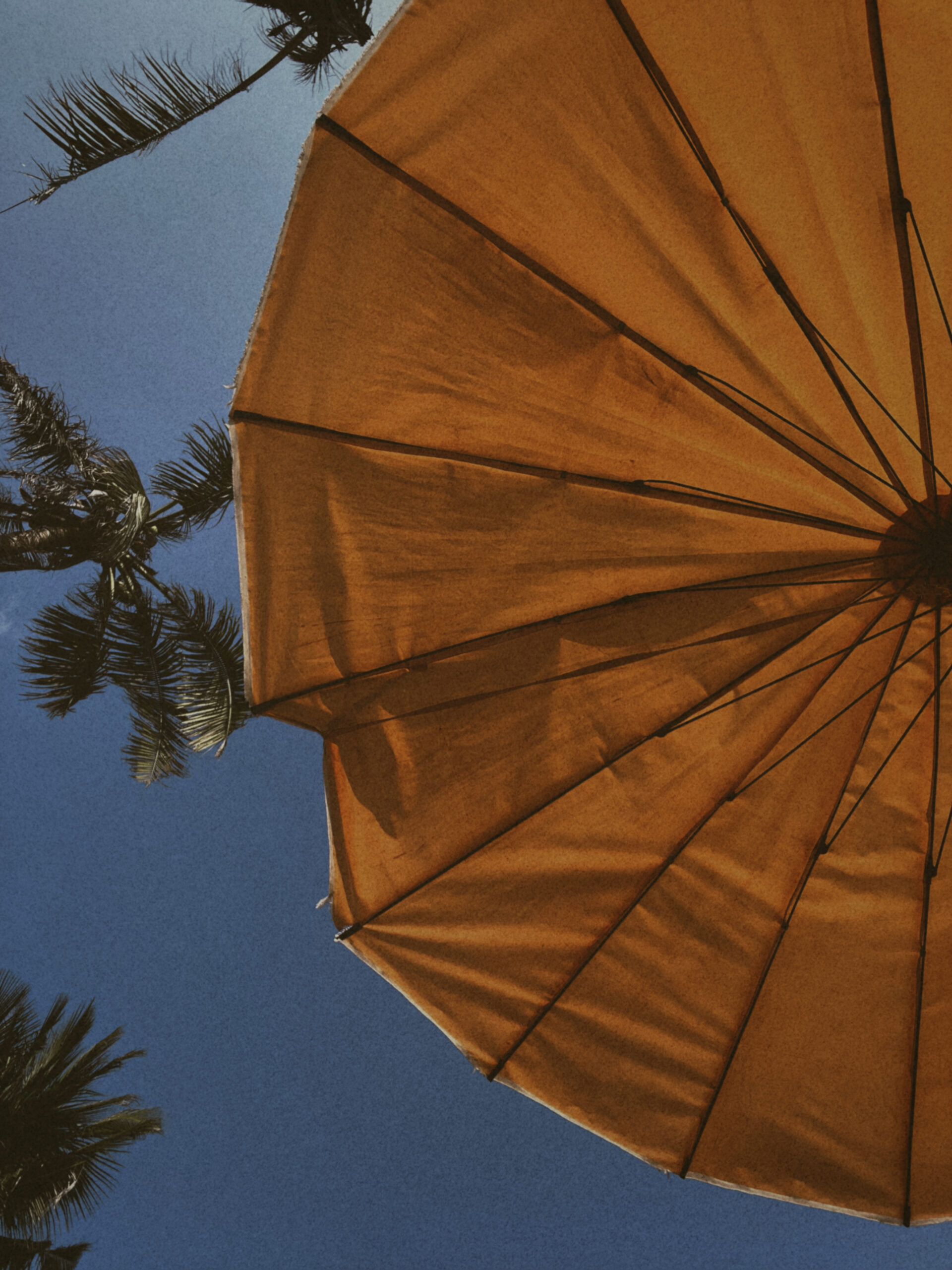 Conheça os destinos mais desejados do verão de 2026 | Teravi